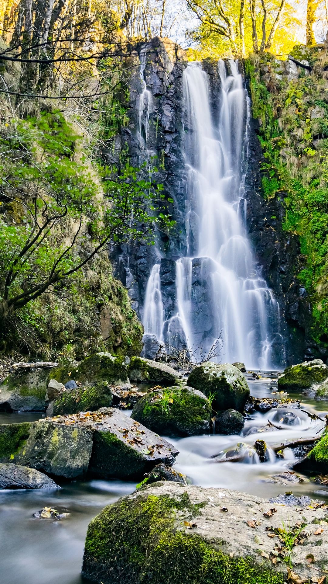 PHOTOS: Visit These Mesmerising Waterfalls In Coorg