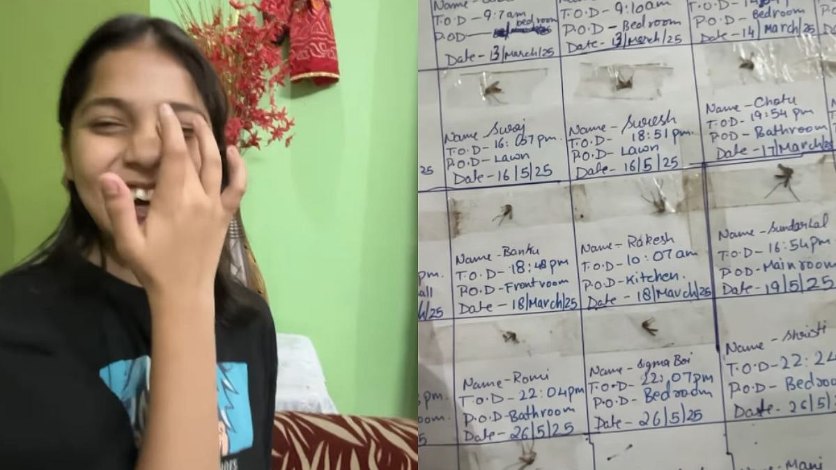 'Sigma Boi, Ramesh, Suresh': Girl Swats Mosquitoes, Labels Them With Name, Date & Place of Death ...
