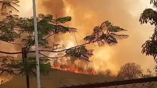 Massive Forest Fire Breaks Out In MP’s Anuppur; Over 20 Foresters ...