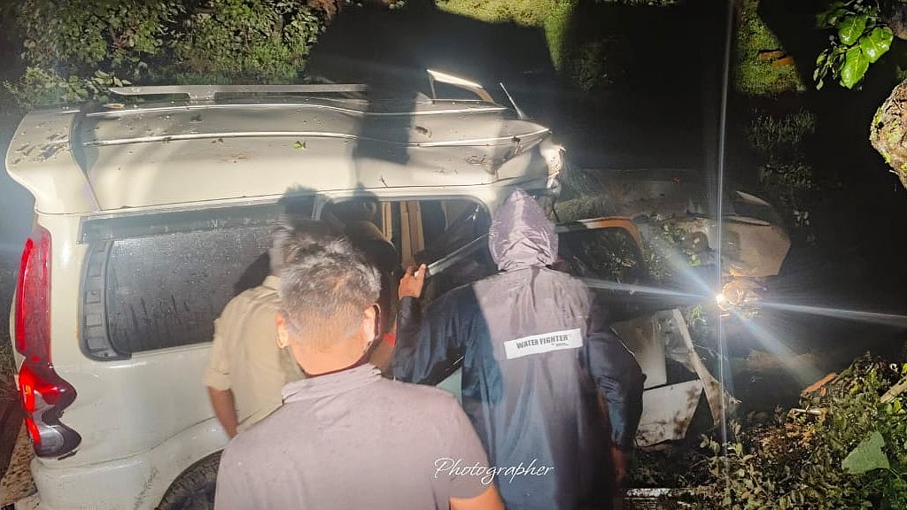 MP Shocker! Four From Rajasthan Killed After Scorpio Crashes While Trying To Save Cow