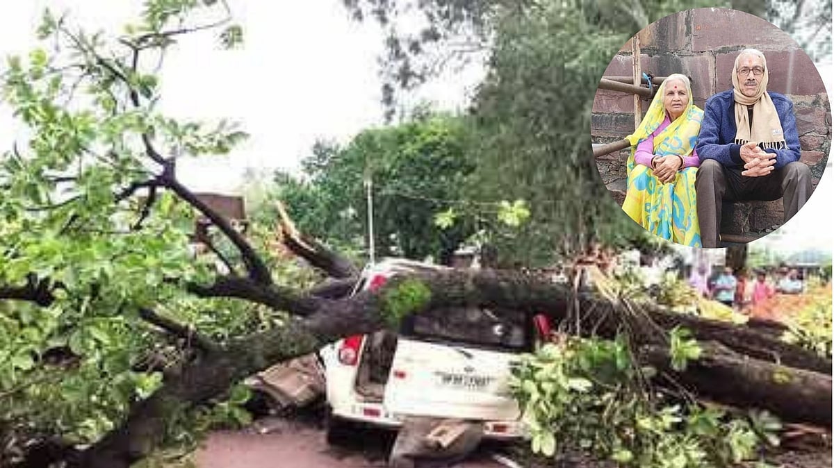 Retired IFS Officer And Wife Killed After Huge Tree Falls On Their ...