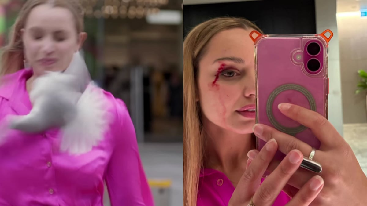 New Zealand Reporter Hit by Seagull During Live Shoot, Suffers Eye ...