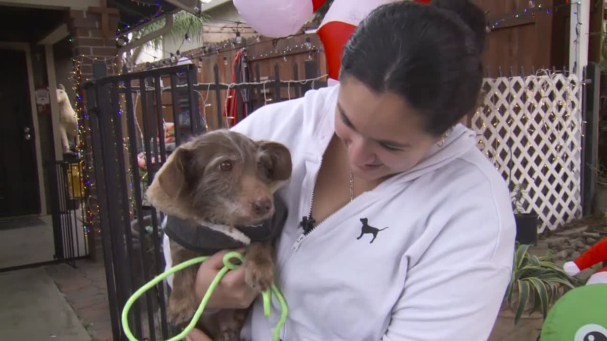 California Dog 'Choco' Reunites With Family After Disappearing For 5 ...