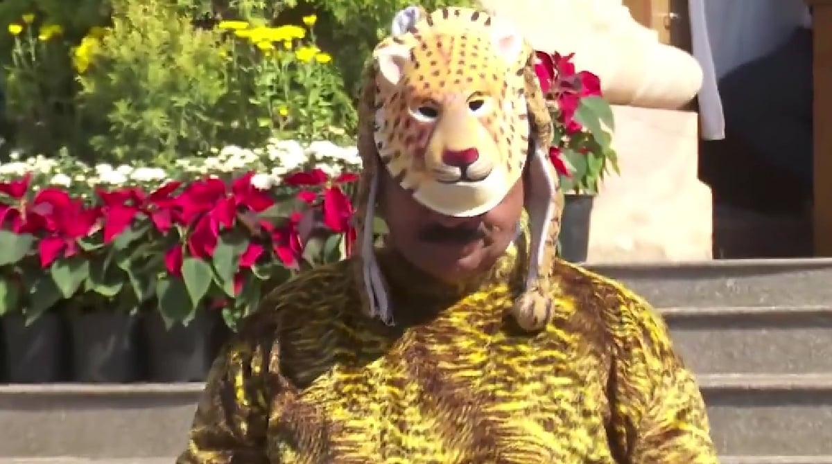 VIDEO: Junnar MLA Sharad Sonawane Dons Leopard Costume During ...