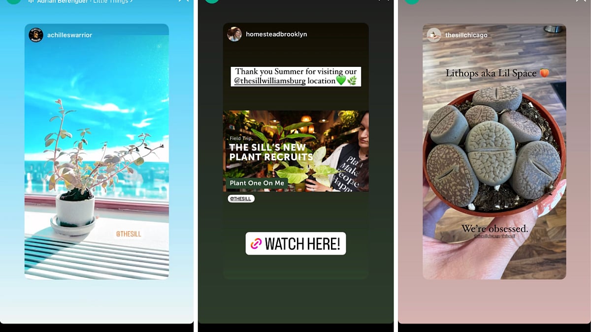 Now You Can Reshare Instagram Stories Without Being Tagged, New Feature ...
