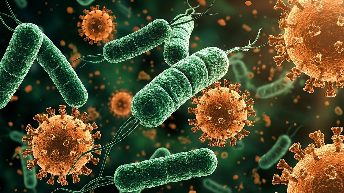 The Winter Vomiting Bug: What Is Norovirus &Why It Spreads So Fast ...