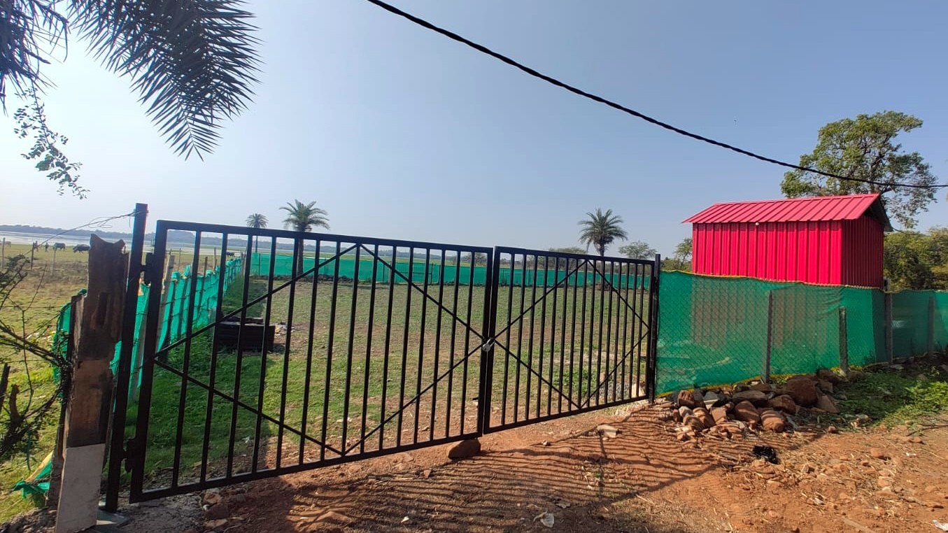 NGT Pulls Up BMC Over Inaction On Bhoj Wetland Encroachments, Seeks ...