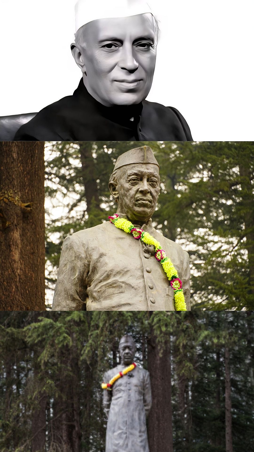 Pandit Jawaharlal Nehru Death Anniversary: Key Facts To Know About ...