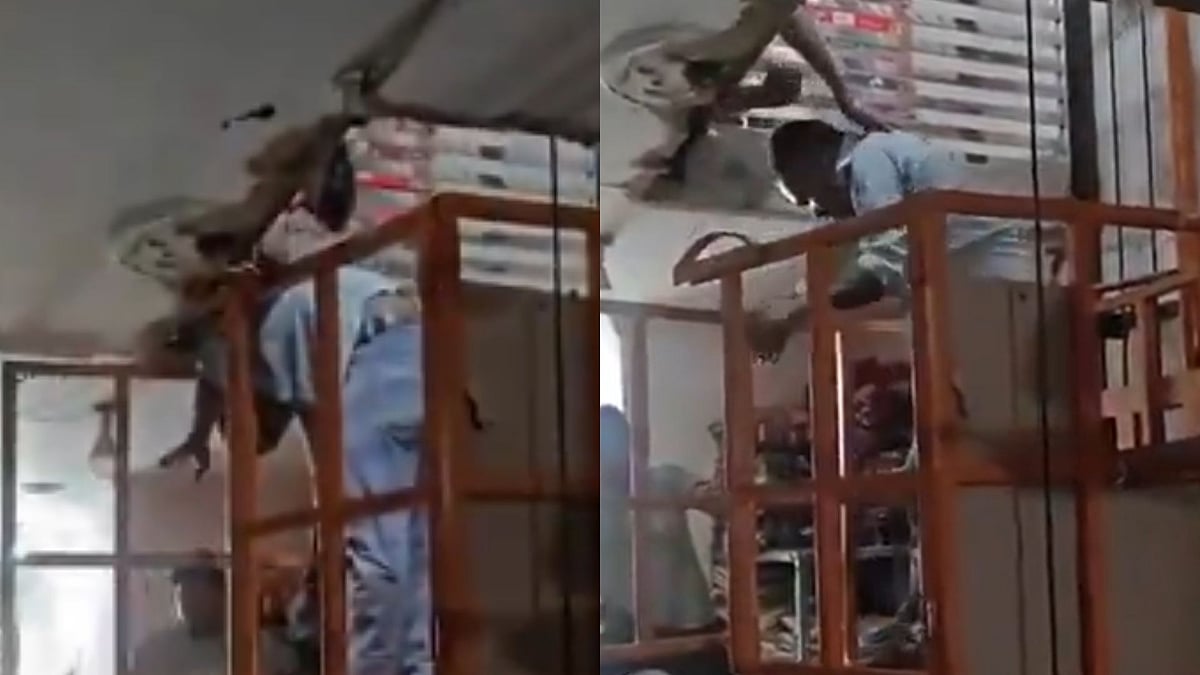 Video: Kanpur Saree Shop Employee Rescued After Getting Trapped Between ...