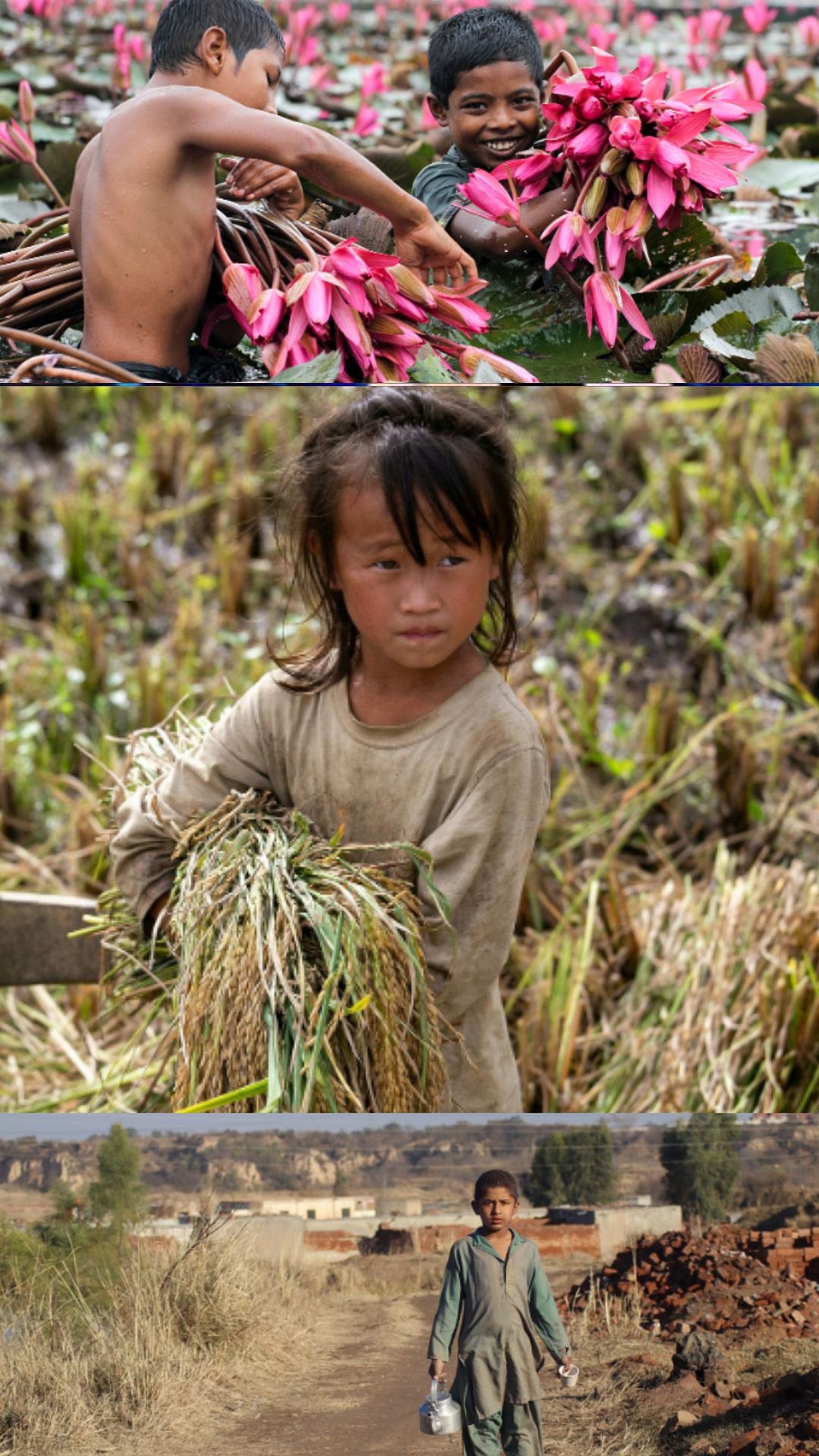 World Against Child Labour Day 2026: Why It Is Observed On July 12?