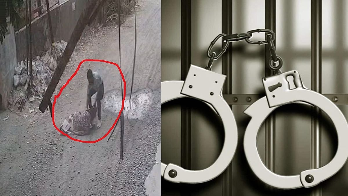 Palghar: Man Arrested After Brutal Sickle Attack On Revenue Department ...