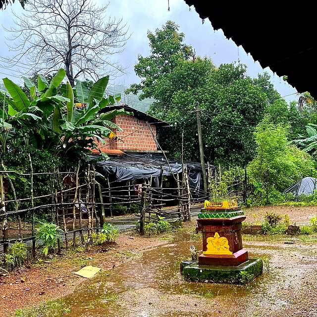 Make a Goa forest night trail an illuminating experience |Gomantak Times