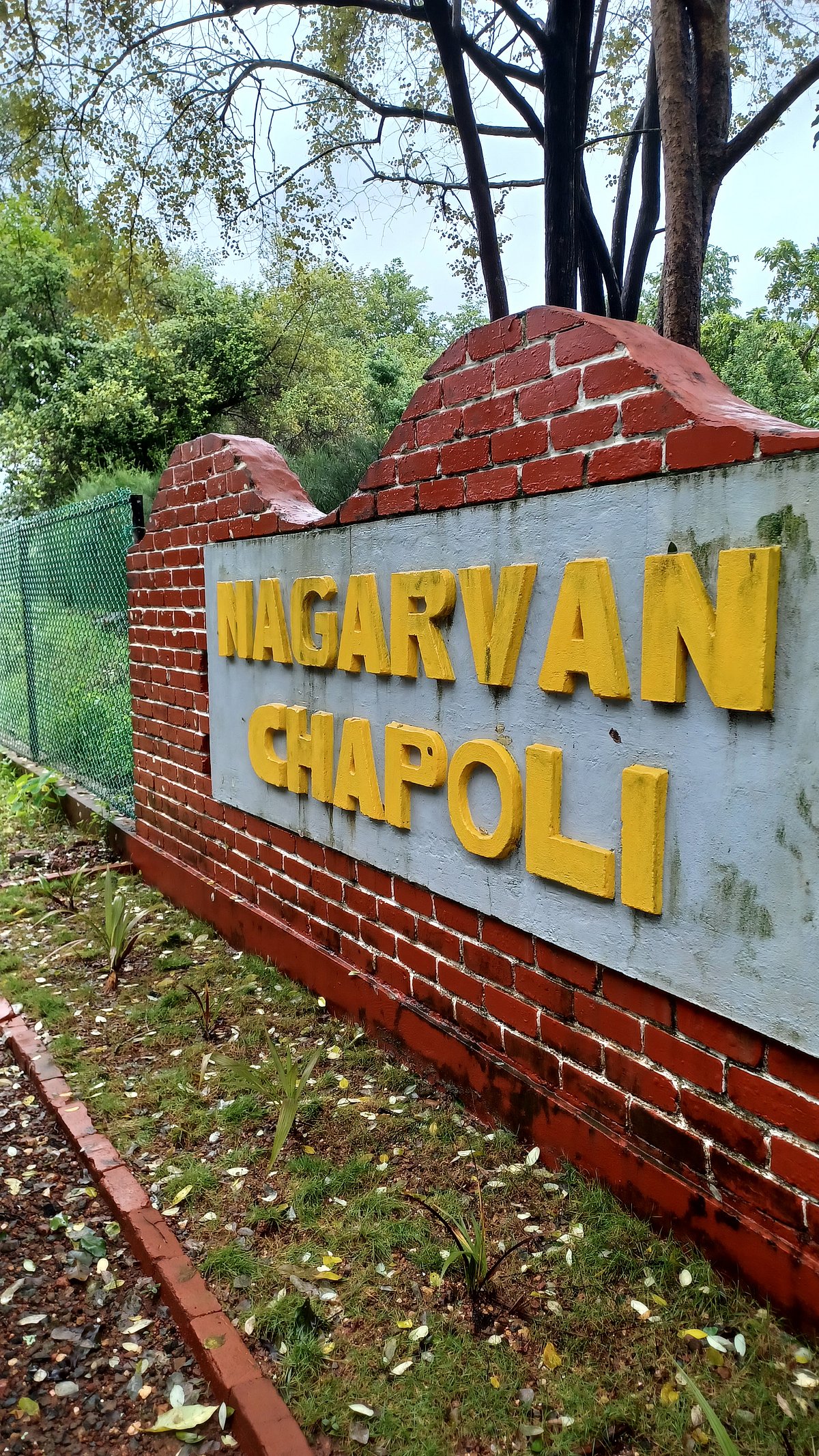 Goa's Chapoli dam: Endowed with nature's bounty | Gomantak Times