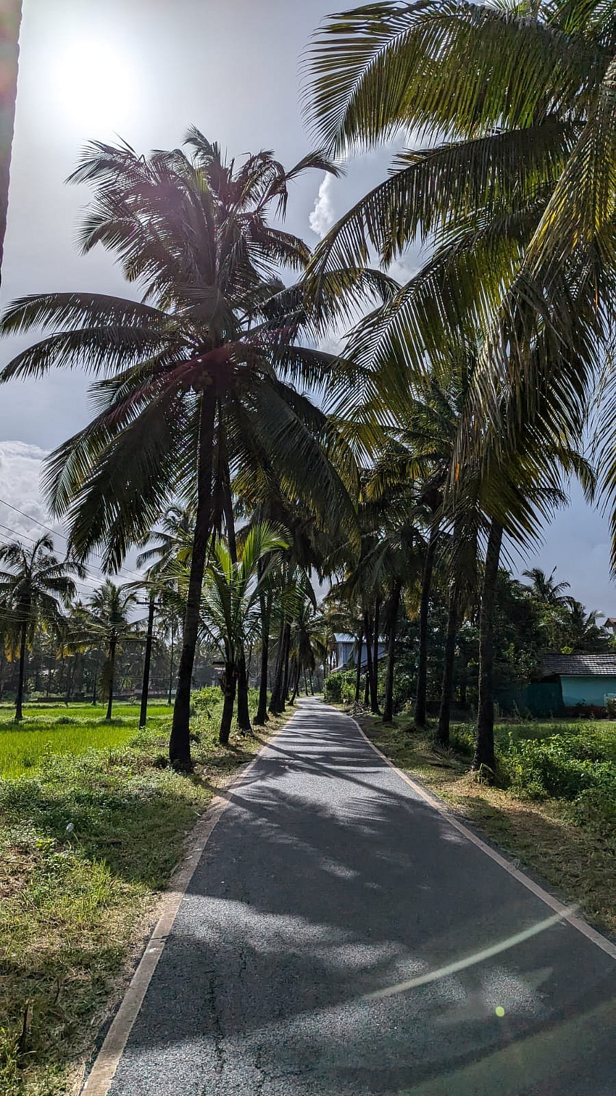 5 Things that make Betul village in South Goa a must-visit | Gomantak Times