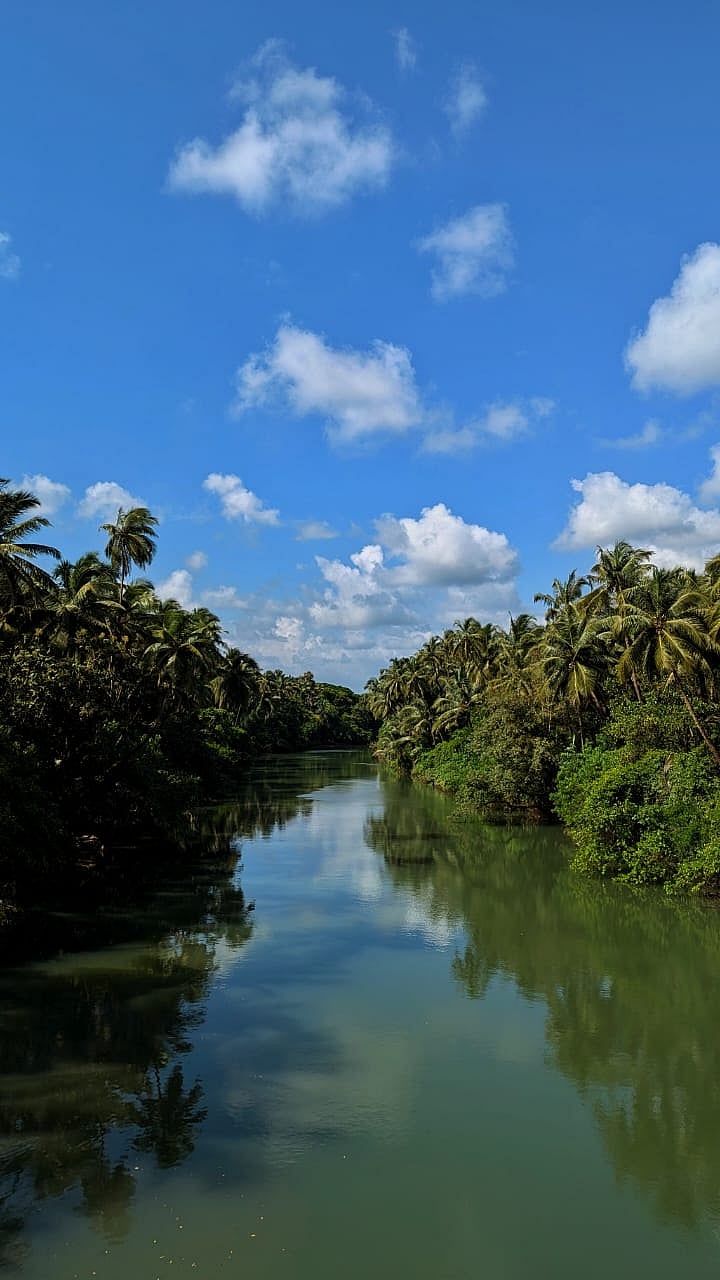 Goa 2024: Key tourism trends and valuable lessons learnt | Gomantak Times
