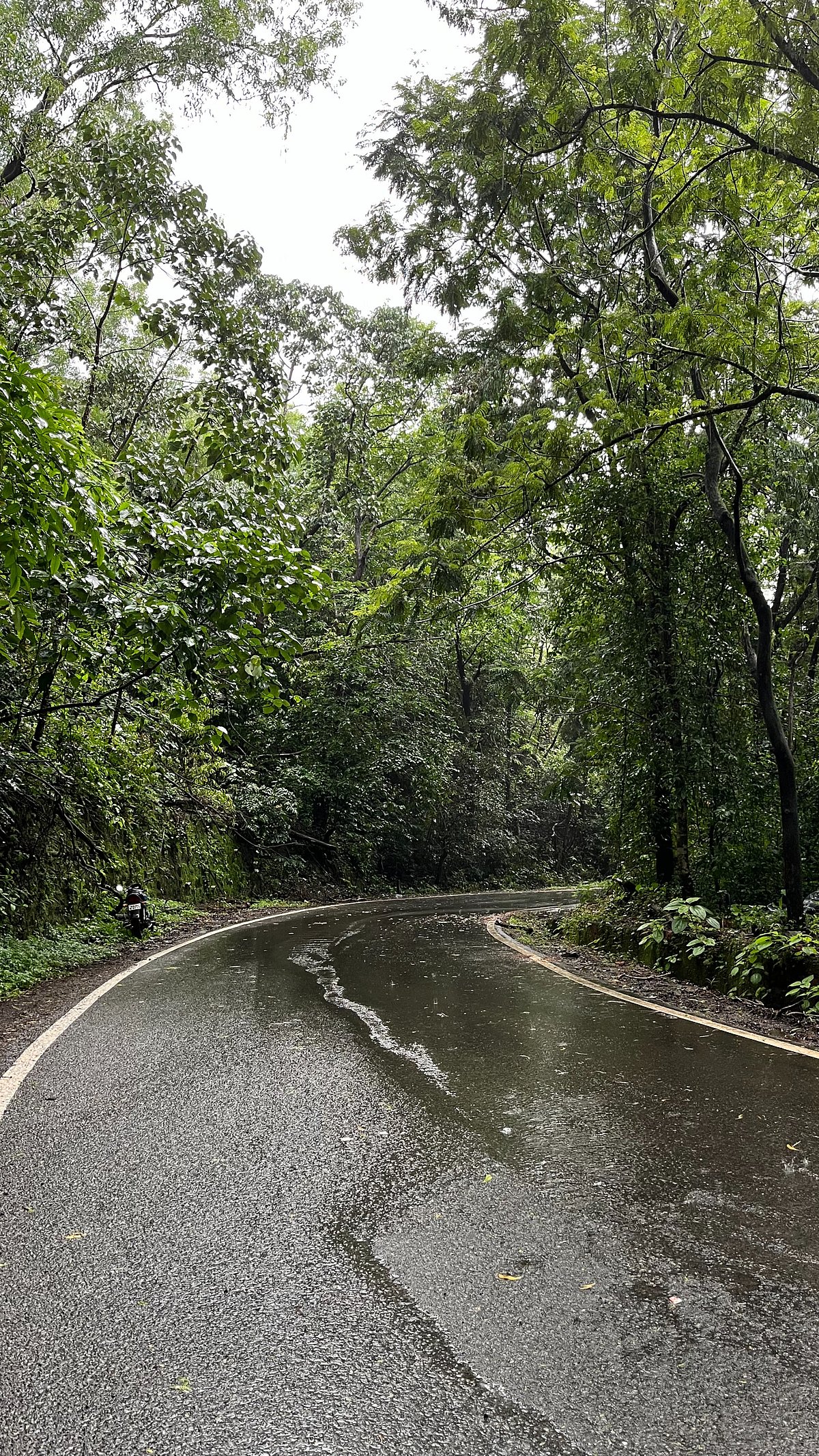 Know why Chorla Ghat is Goa's panoramic wonder | Gomantak Times