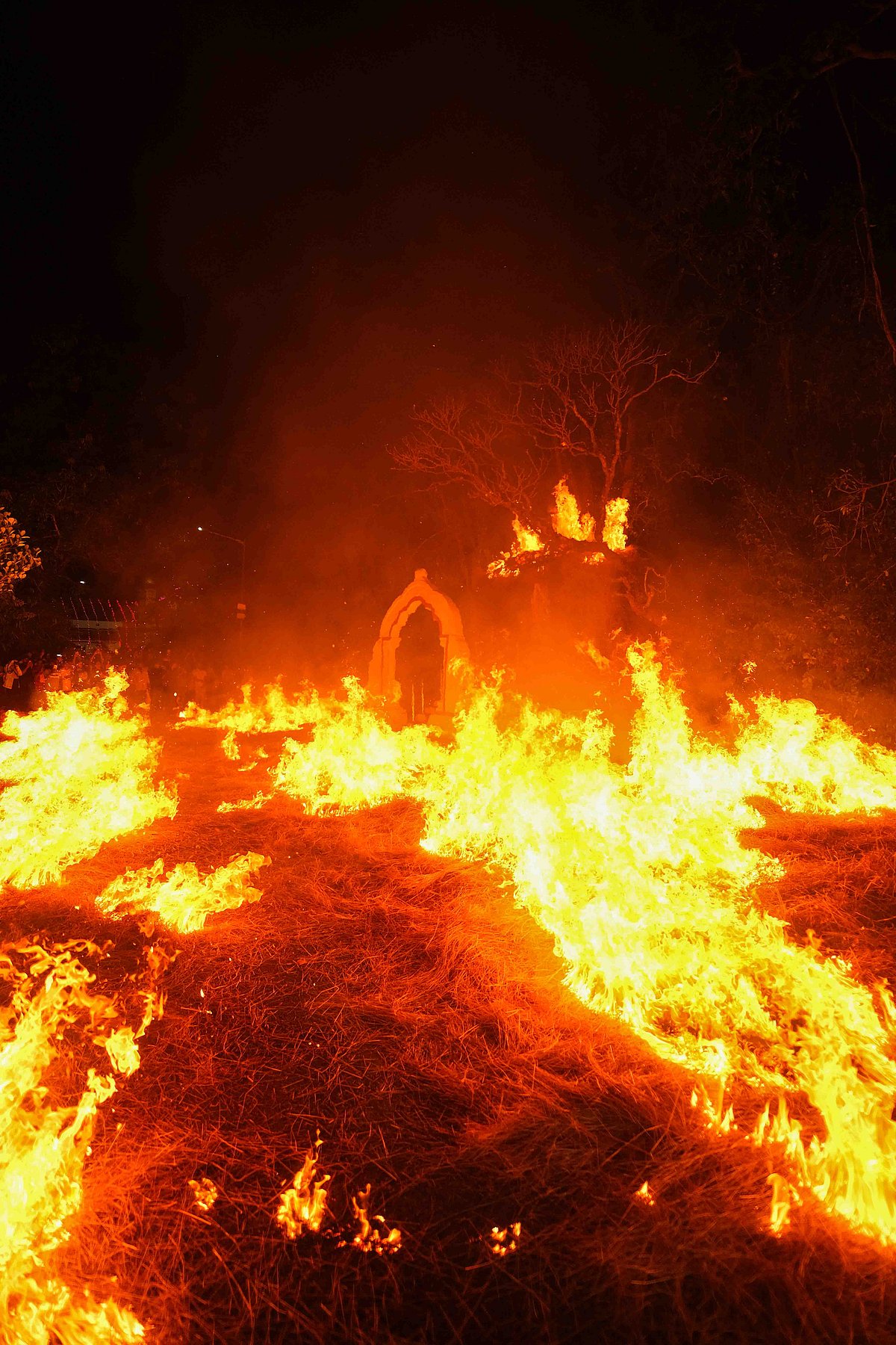 Dry grass is the highlight of this sacred ritual unique to Goa ...