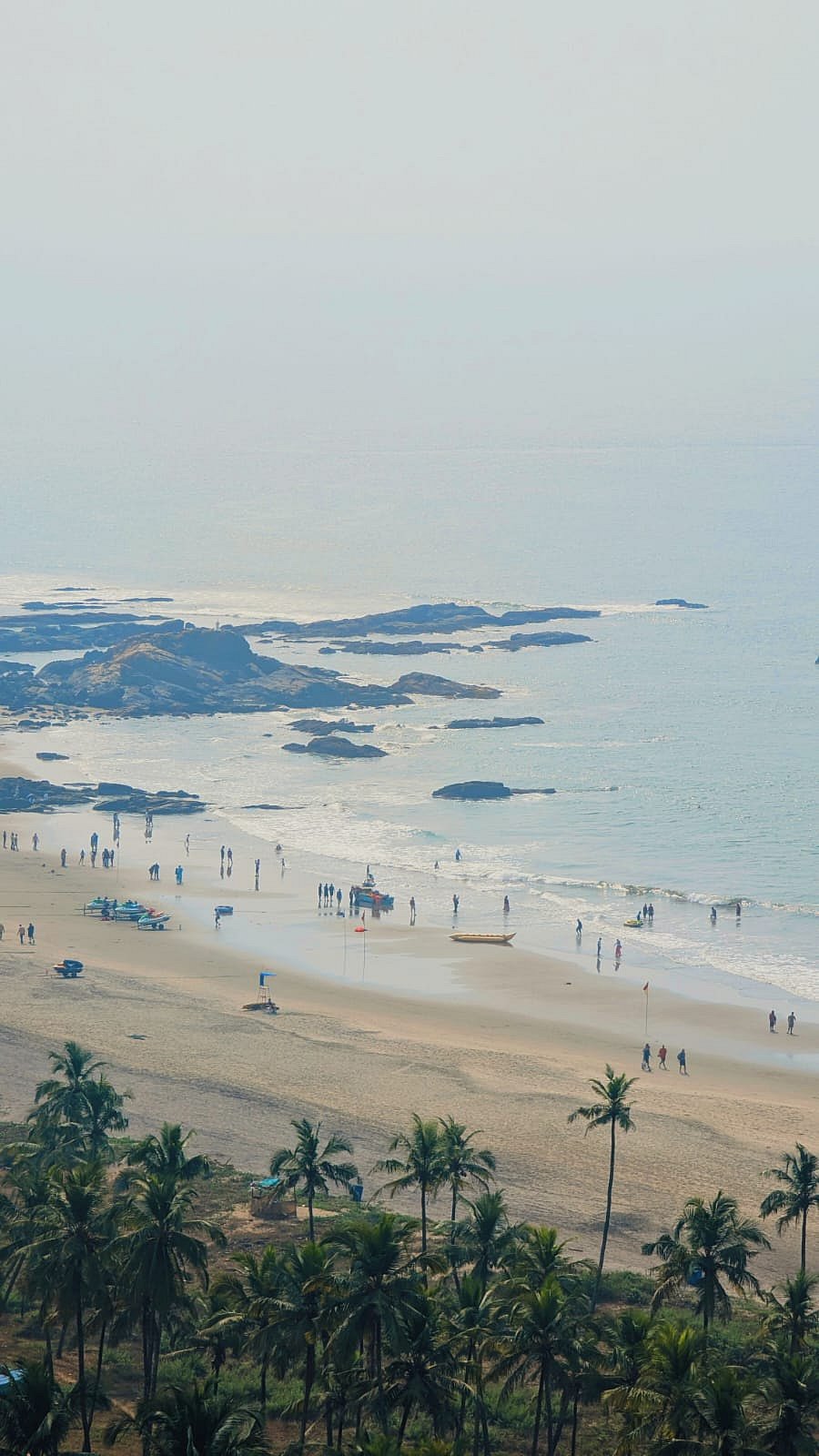 Why these locals in Goa want turtle nesting site tag for their beach ...