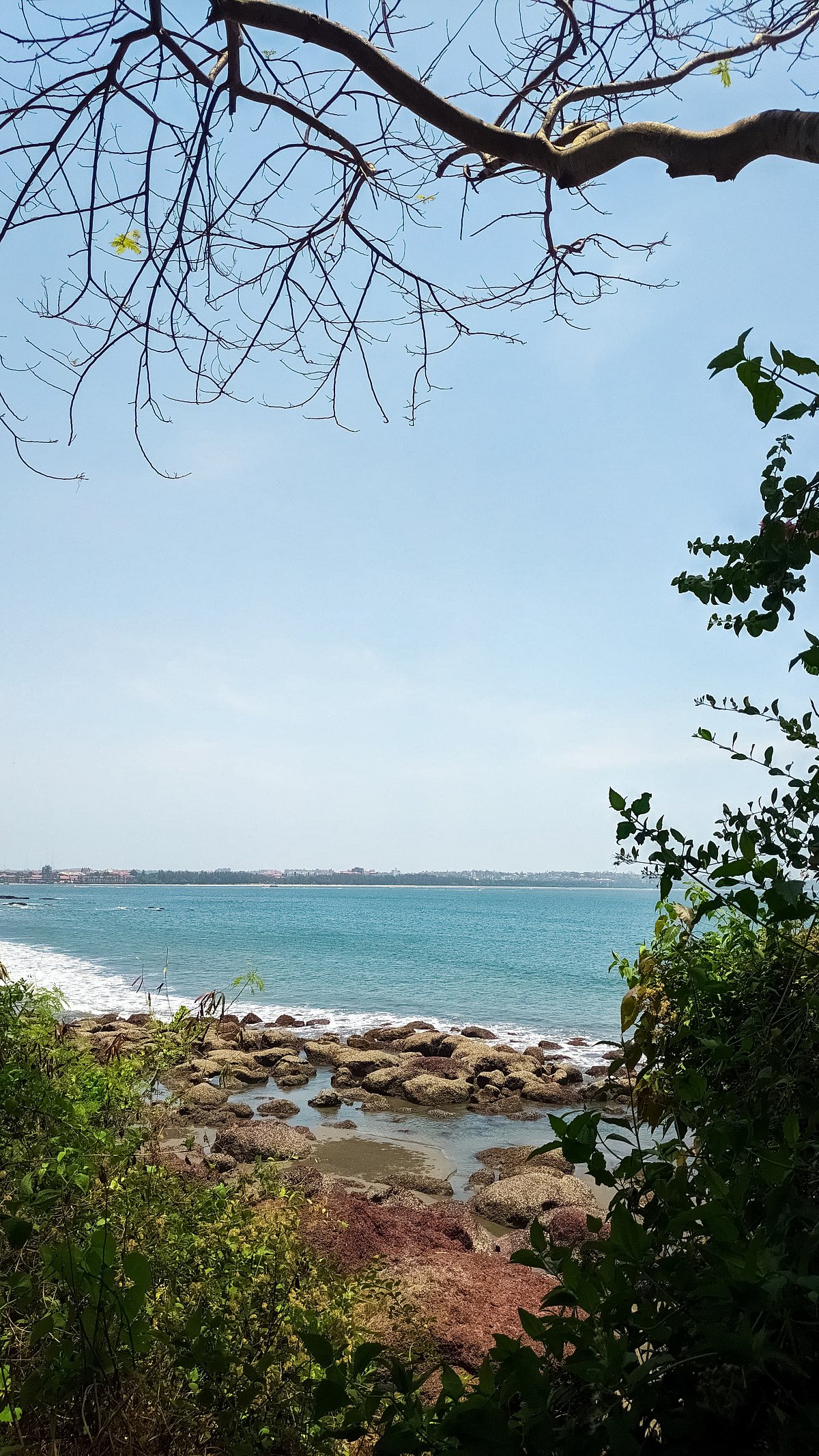 Get sun, sand and plenty of shade at these beaches in Goa | Gomantak Times