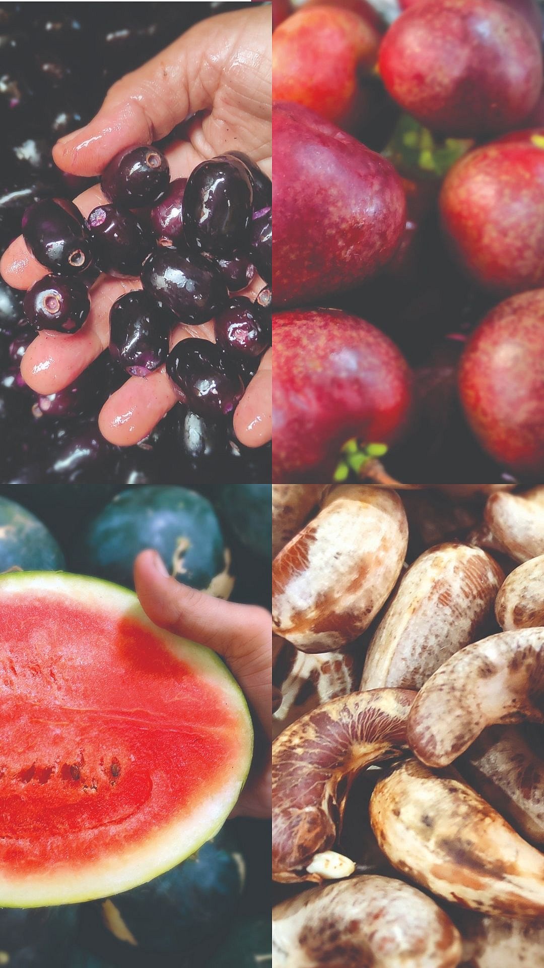 Summer is here and so are Goa’s seasonal fruits | Gomantak Times