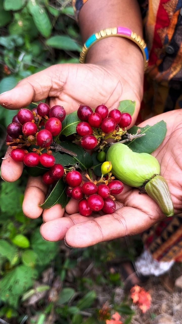 'Ranmeva', the irresistible, juicy, little gifts from Goa| Gomantak Times