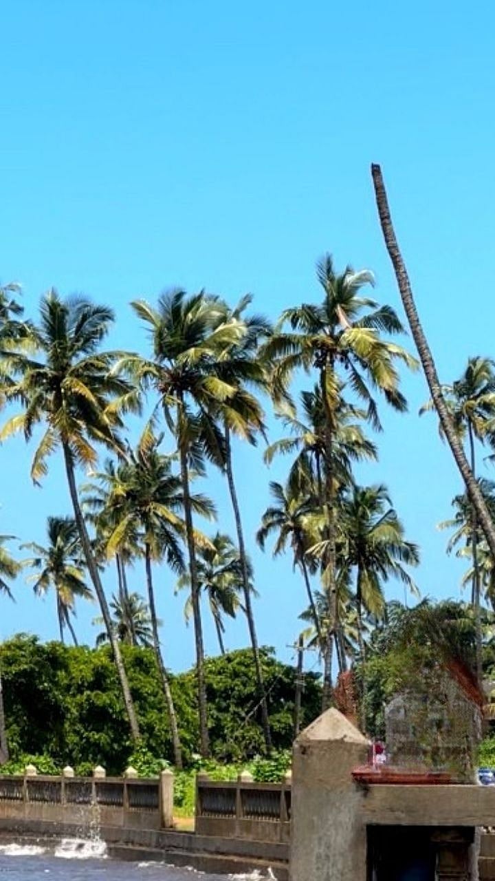 Uddo Beach in North Goa gets a refreshing, new look| Gomantak Times