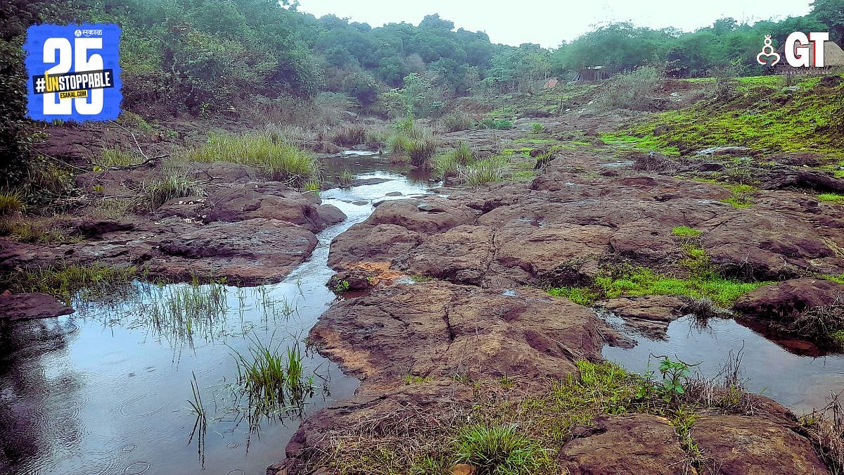 Know why Goa needs Mhadei's natural flow | Gomantak Times