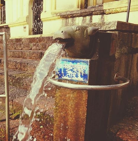 9 natural springs in Goa not to be missed!