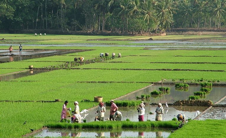 Activities in rural Goa