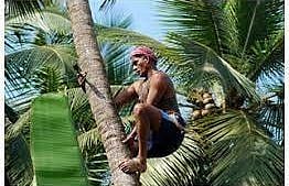 Activities in rural Goa