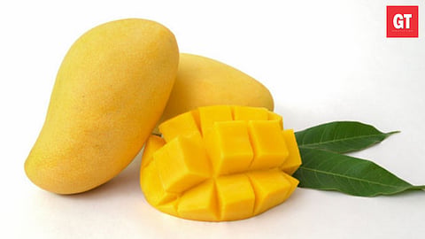 Apart from the famous ‘Mankurad’, do you know the other mango varieties ...