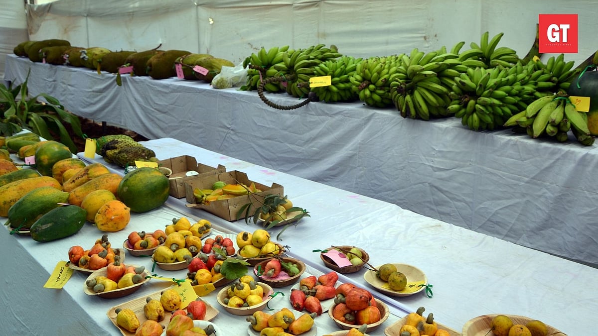 The festival of fruits is back in Goa!