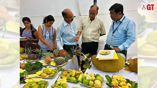 A fine festival of fruits in Goa | Gomantak Times