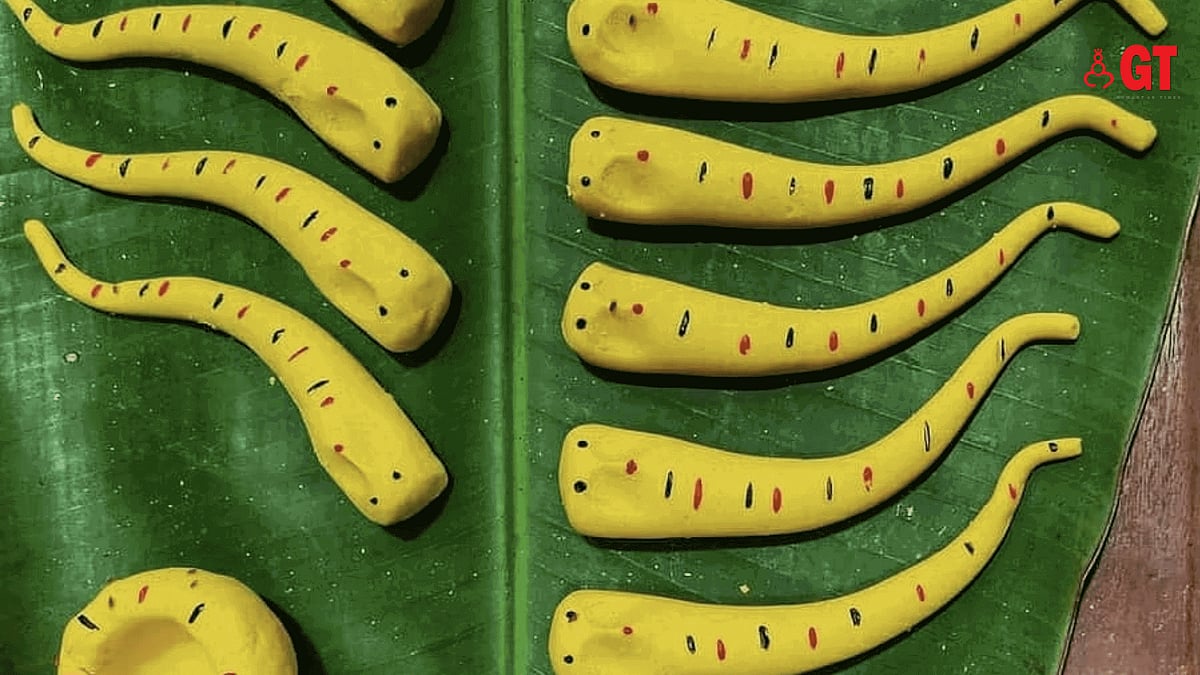 Did you know about these eco-friendly 'Nag Panchami' traditions ...