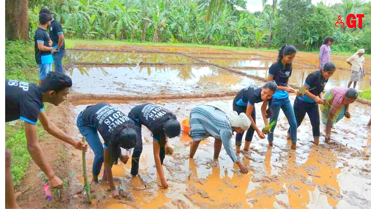 The Green Revolution in Goa | Gomantak Times