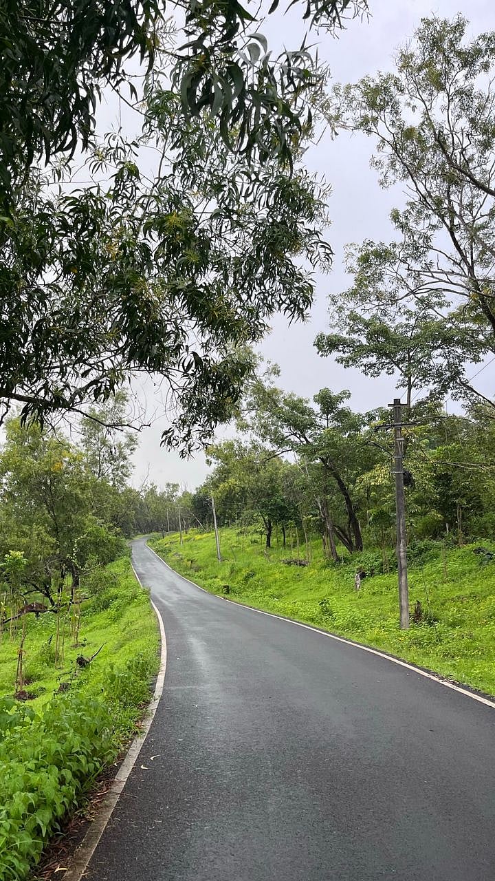 Spring vibes during the monsoon season in Goa