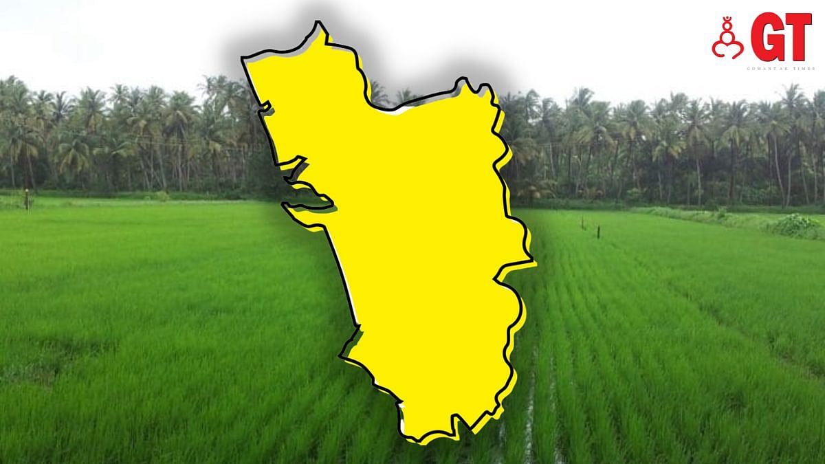 Will convention be a last gasp effort to save Goa comunidades ...