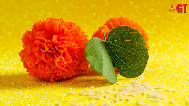 Butterflies, nematodes and marvellous marigolds in Goa | Gomantak Times