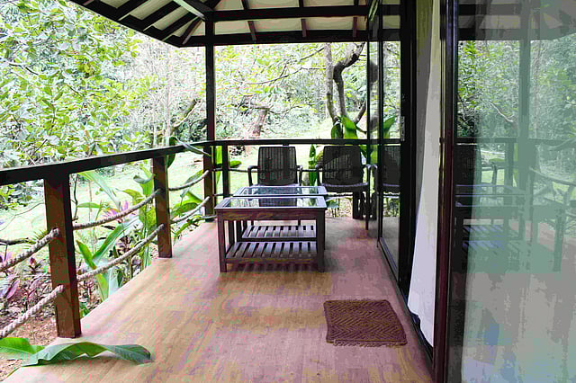 This eco-farm in Goa is a treat for the senses|NV Eco farms|Gomantak Times