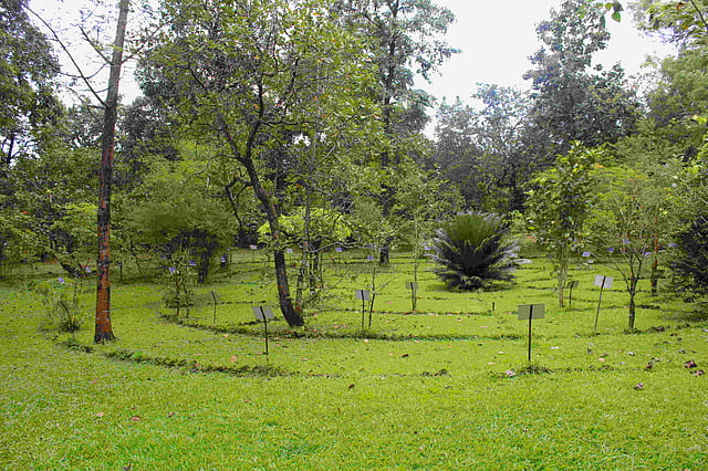 This eco-farm in Goa is a treat for the senses|NV Eco farms|Gomantak Times