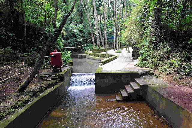 These 5 best farmstays in Goa will make you want to ditch the beach ...