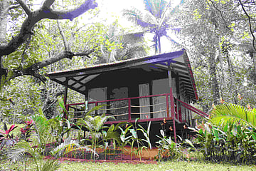 This eco-farm in Goa is a treat for the senses|NV Eco farms|Gomantak Times