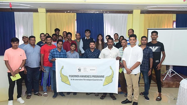 WWF-India working closely with Goa fishers to conserve guitarfish ...
