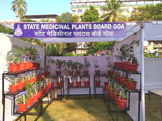 Goa’s ‘Plant Utsav’ is back! | Goa | Gomantak Times
