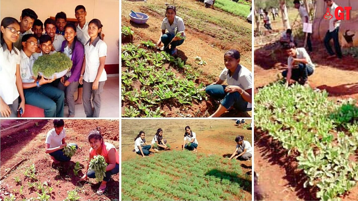 3 decades of Goa’s famed home garden competition - Goa News | Latest ...