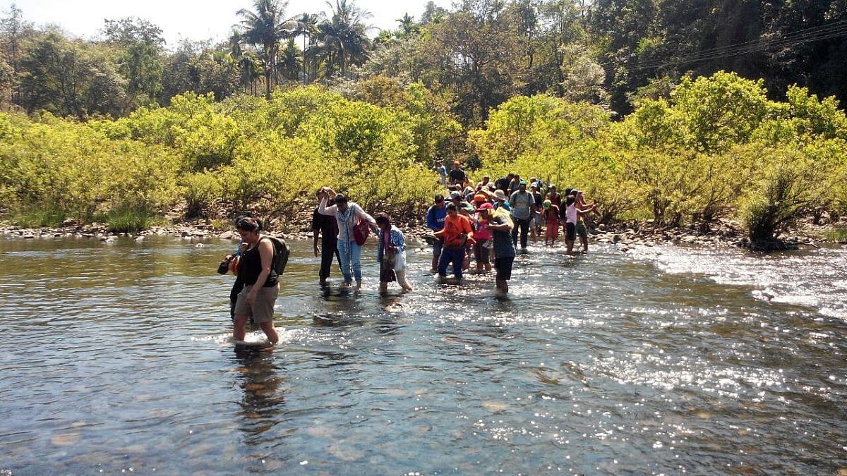 Let us save Goa's rivers, water bodies before it's too late|Gomantak Times