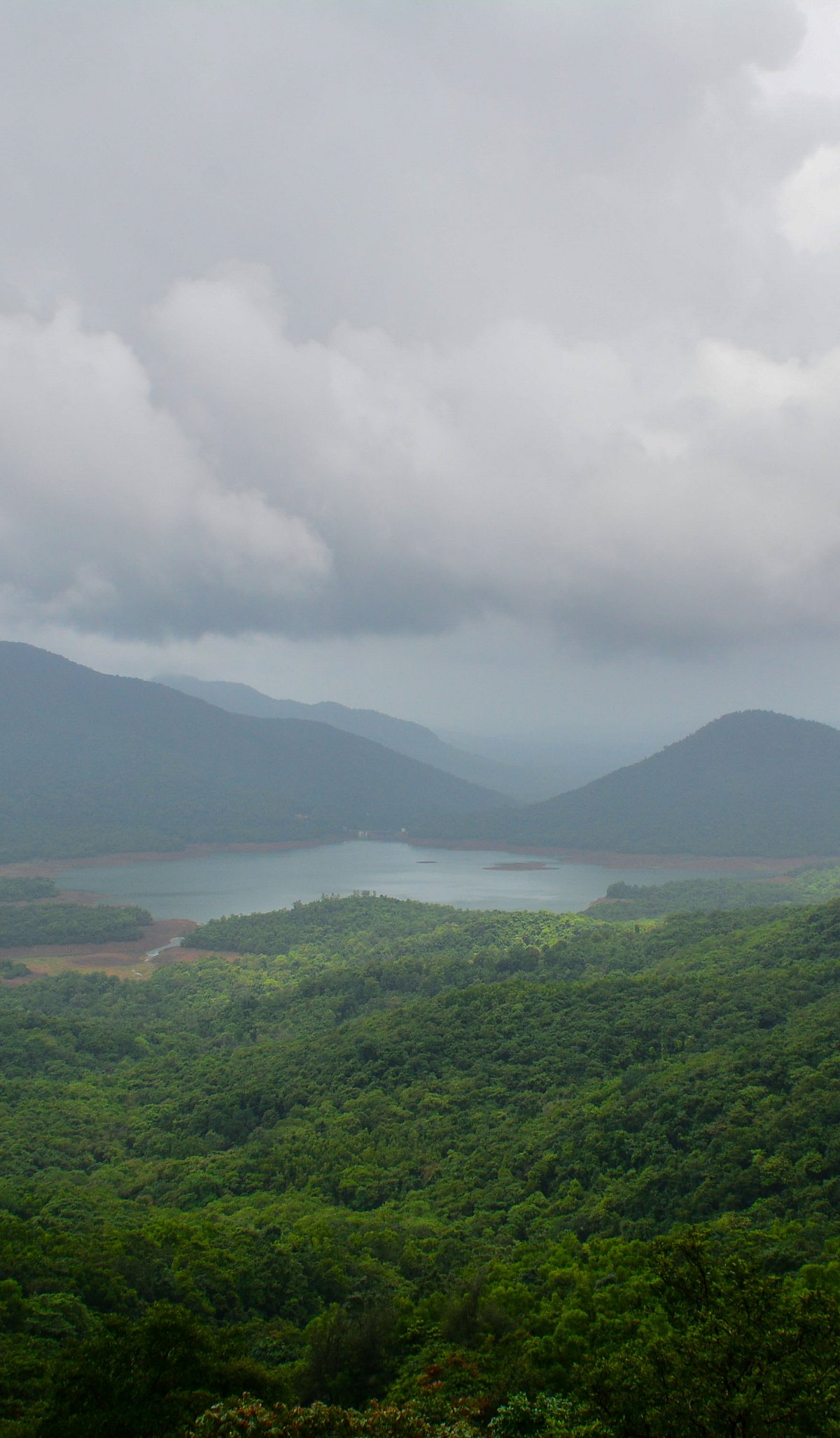 Goa's hills that make your heart skip a beat | Gomantak Times