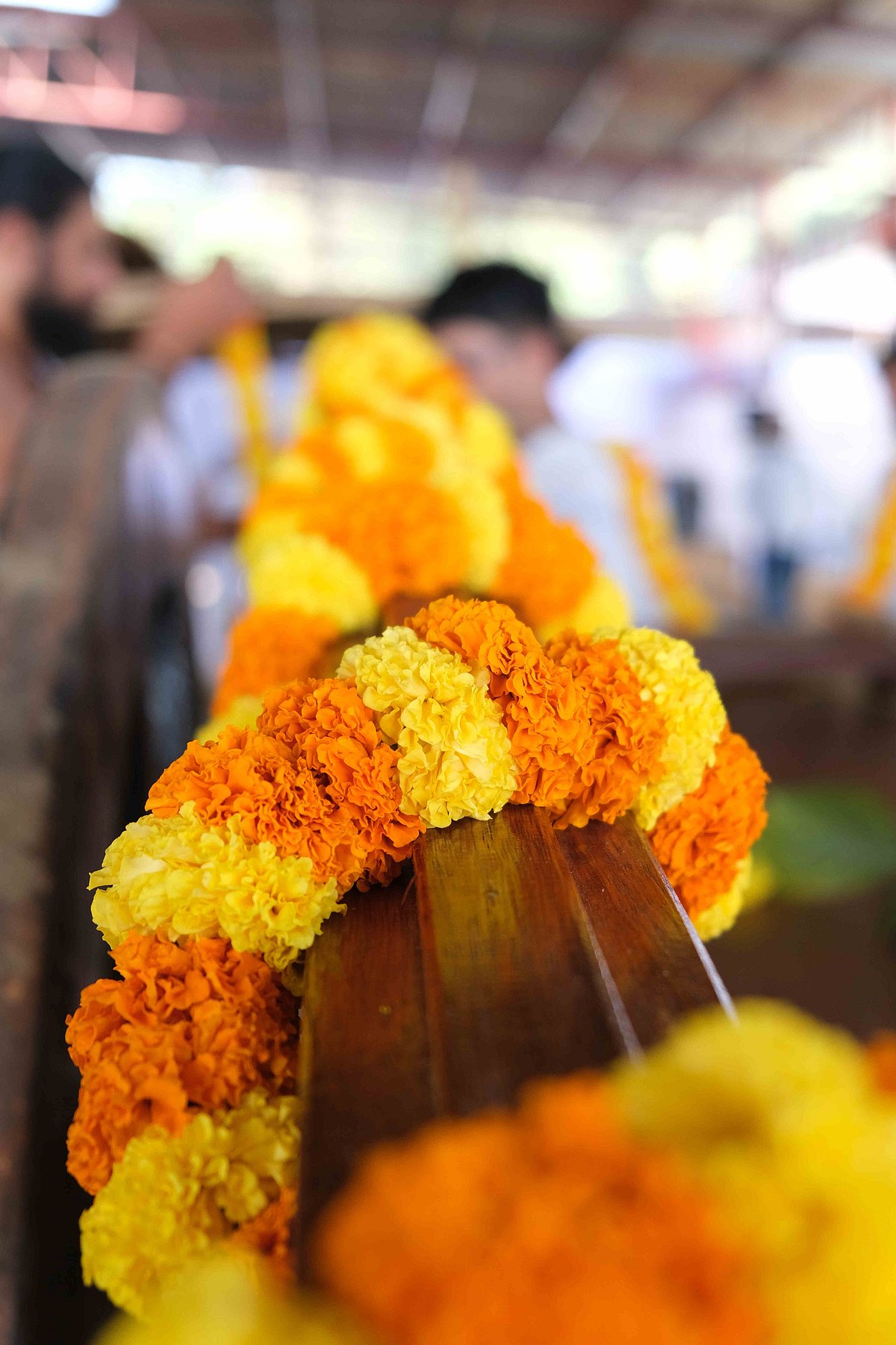 Do you know the plants which are used for Som Yag Yadnya?