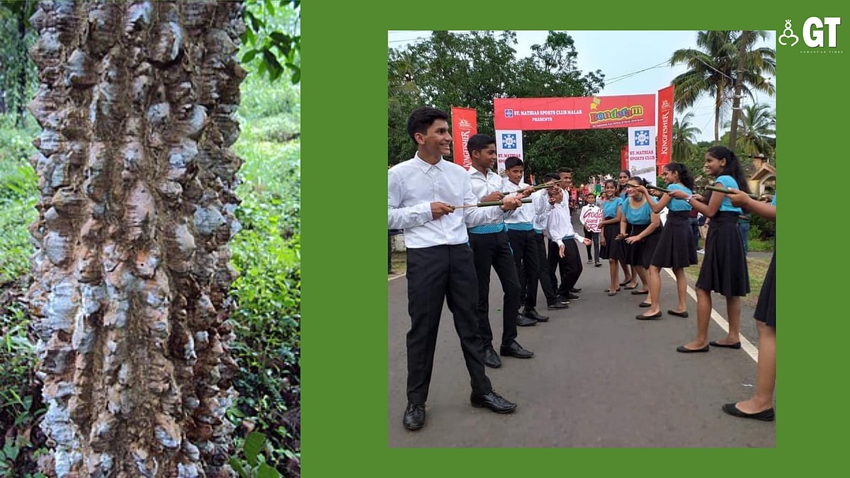 The essential ingredient that has been adding punch to Goan curries for ...