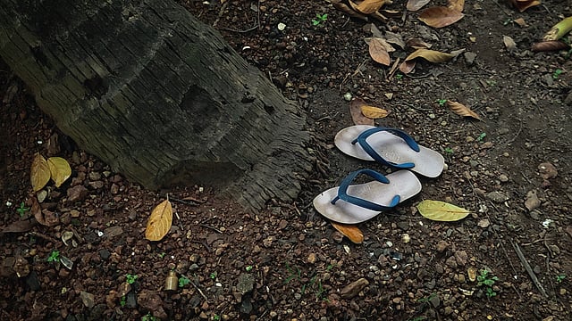 Saujas Shetye and the quest to revive toddy tapping in Goa | Gomantak Times